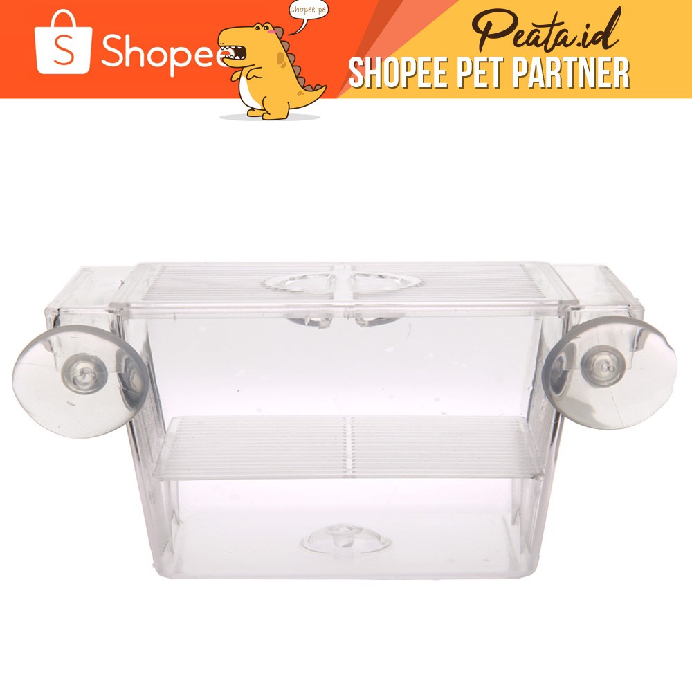 Jual Fish Breeding Box Kotak Tempat Penetasan Pemisahan Ikan Fish ...