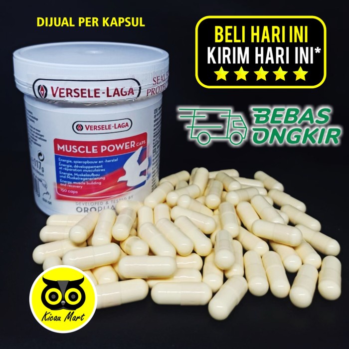 Jual burung-vitamin-obat- muscle power versele laga pil kapsul vitamin ...