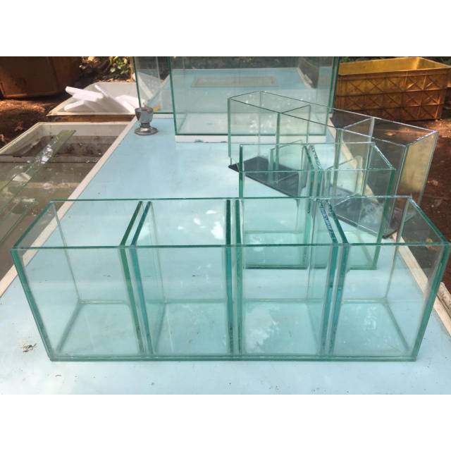 Jual Soliter sekat 4 soliter cupang soliter ikan cupang toples nescafe ...