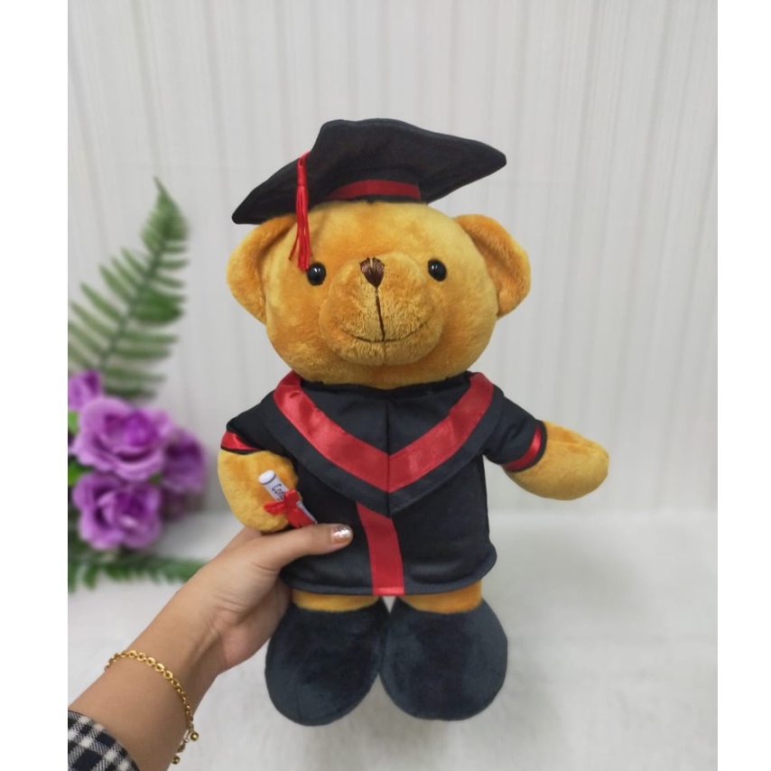 Jual Boneka Toga 30cm/13"/Boneka Wisuda/Kado Wisuda/Boneka Teddy Bear ...