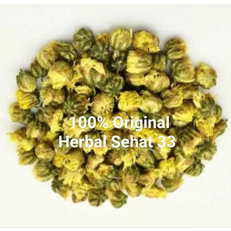 Jual teh bunga baby Krisan baby crysanthemum flower tea 100gr | Shopee ...