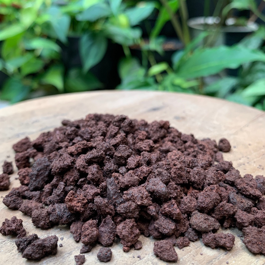 Jual Workplant - Red Lava Rock Pasir Malang Merah Untuk Media Tanam 1 ...