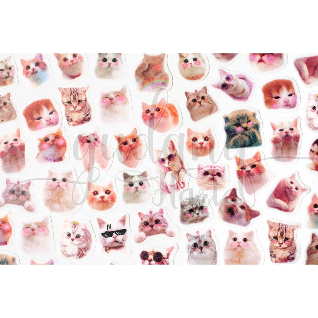 Jual Stiker Washi Shy Cat Sticker Motif Kucing Lucu DIY GH 303111 ...