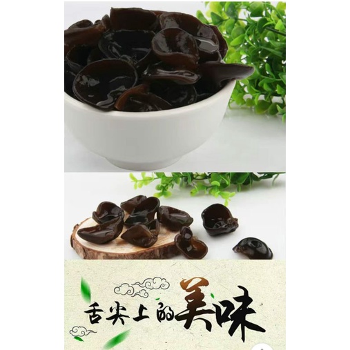 Jual 东北山珍黑木耳DONG BEI SHAN ZHEN HEI MU ER BLACK FUNGUS MUDA ENAK ...