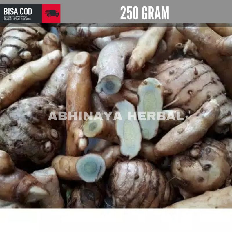 Jual TEMU IRENG/KUNYIT HITAM HERBAL 250gram | Shopee Indonesia