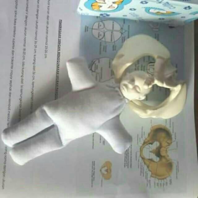 Jual Phantom panggul dan bayi mini | Shopee Indonesia