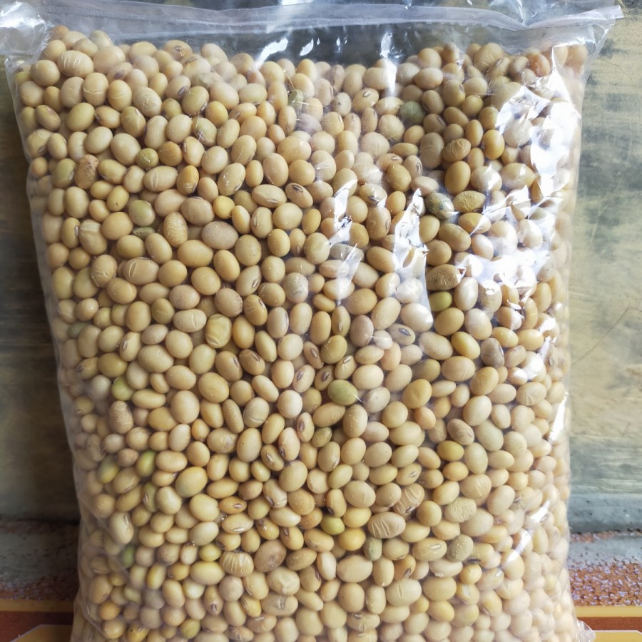 Jual GROOSIIRR 1 KG BIBIT BENIH KACANG KEDELAI SUPER | Shopee Indonesia
