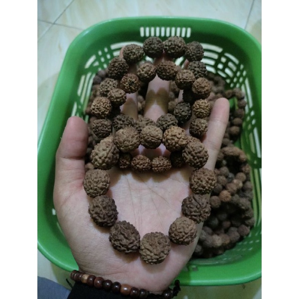 Jual gelang biji Jenitri sedang | Shopee Indonesia