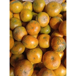 Jual jeruk kecil Harga Terbaik & Termurah Juli 2025 | Shopee Indonesia