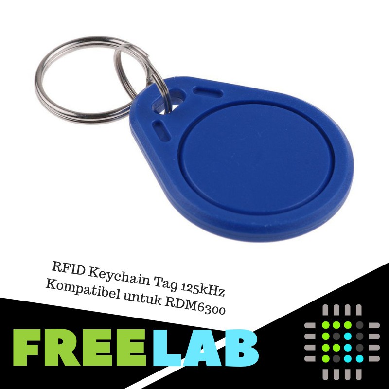 Jual RFID Keychain Tag Gantungan Kunci EM4100 125 kHz Proximity Keytag ...