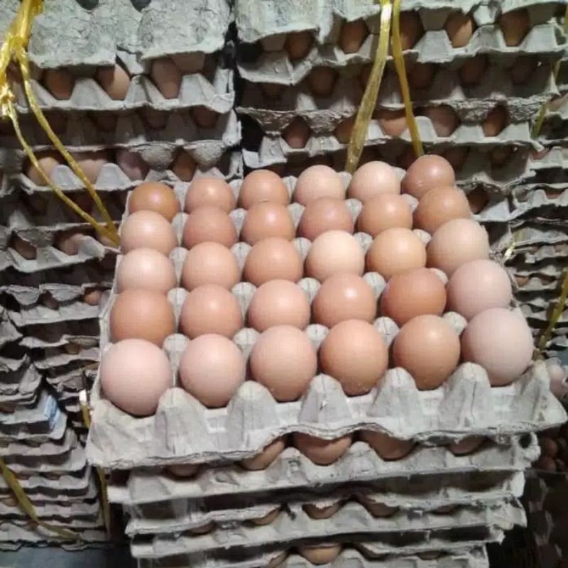Jual Telur Ayam Fresh setiap hari baru (harga 1 rak) | Shopee Indonesia