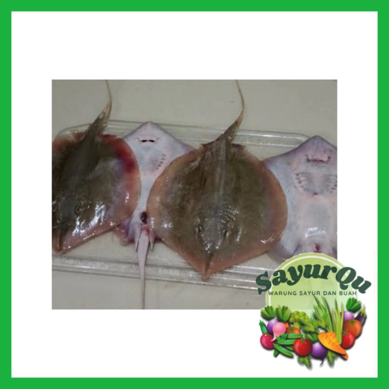 Jual Ikan Pari Segar 1 Kilo - Ikan Segar Bekasi | Shopee Indonesia