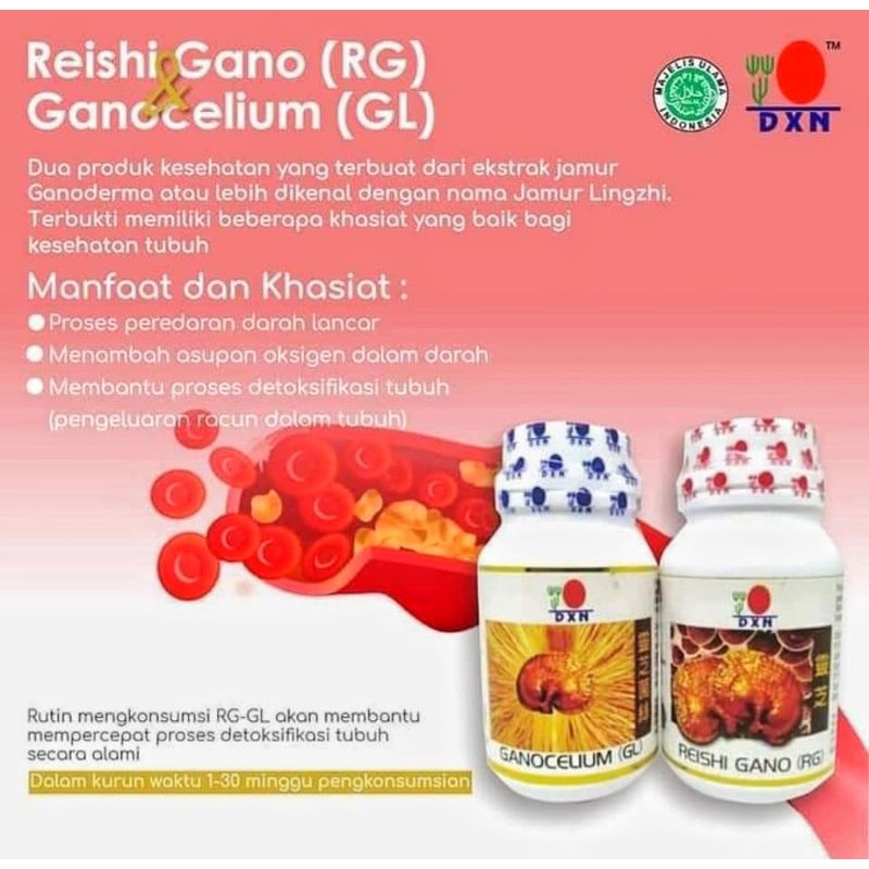 Jual RG GL Dxn isi 270 kapsul isi jumbo | Shopee Indonesia