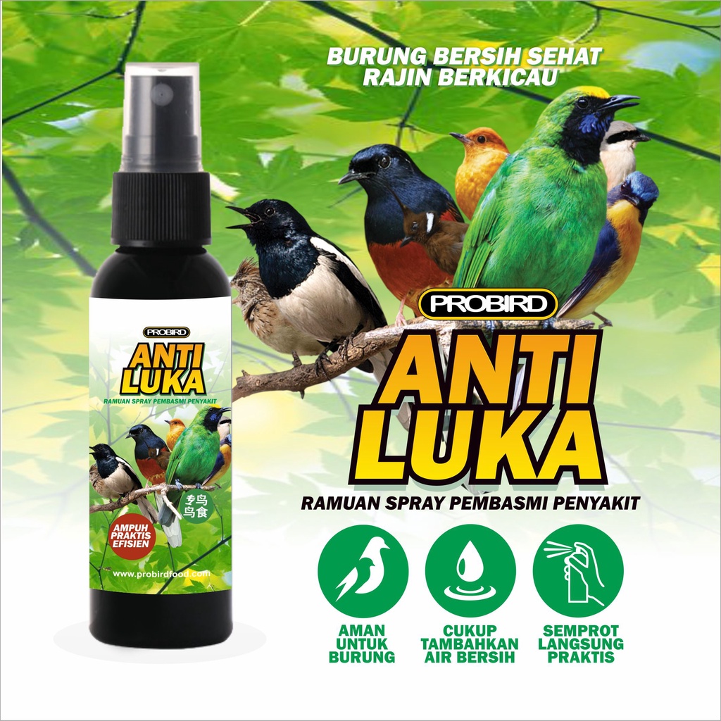 Jual SPRAY OBAT SEMBUHKAN LUKA PADA BURUNG 100ML DI JAMIN AMPUH LUKA ...