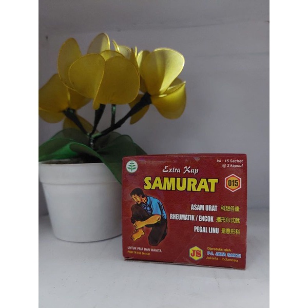 Jual obat asam urat extra kapsul isi 15 sachet @ 2 kapsul | Shopee ...