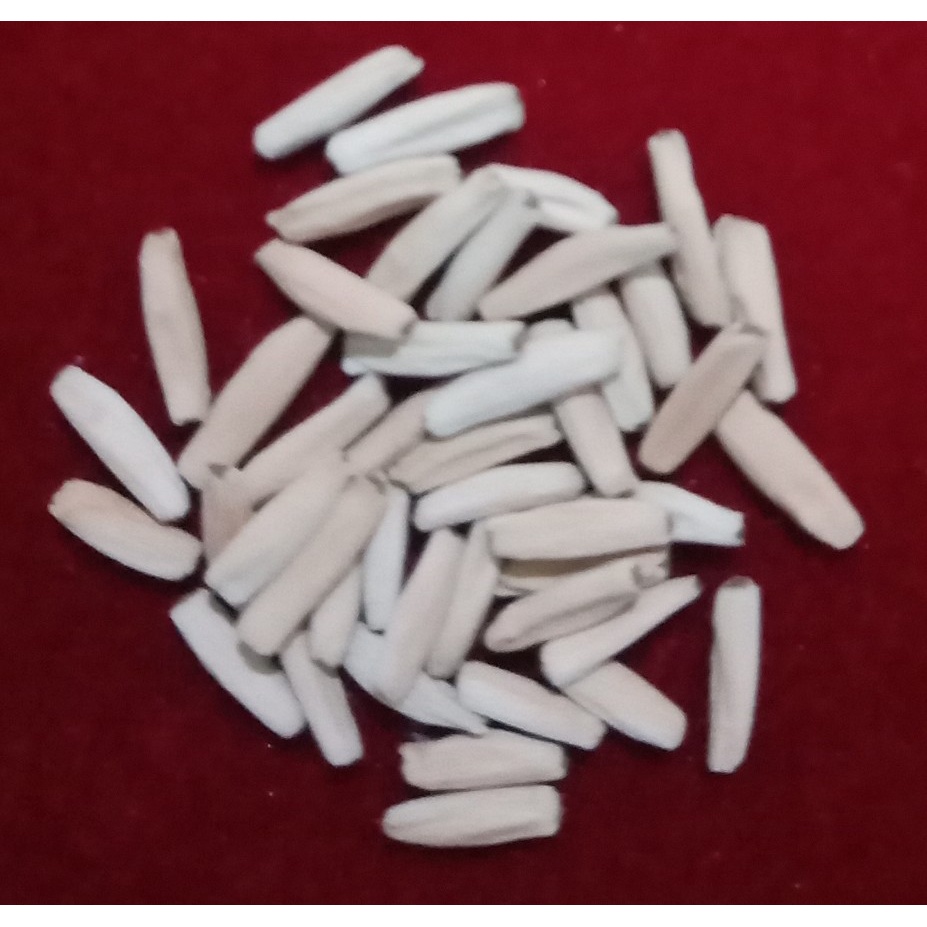 Jual Biji/Benih/Seed Adenium Arabicum Black Giant | Shopee Indonesia