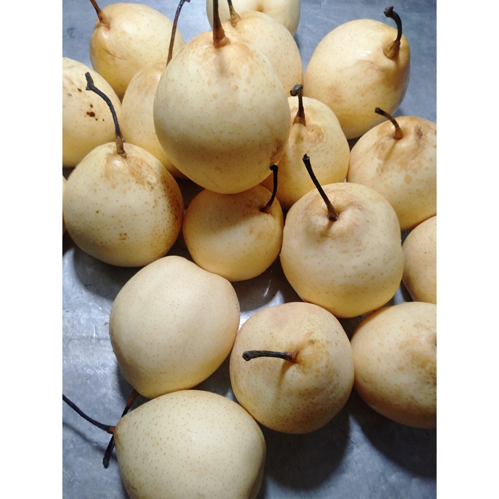 Jual Pear Madu 1 kg | Shopee Indonesia