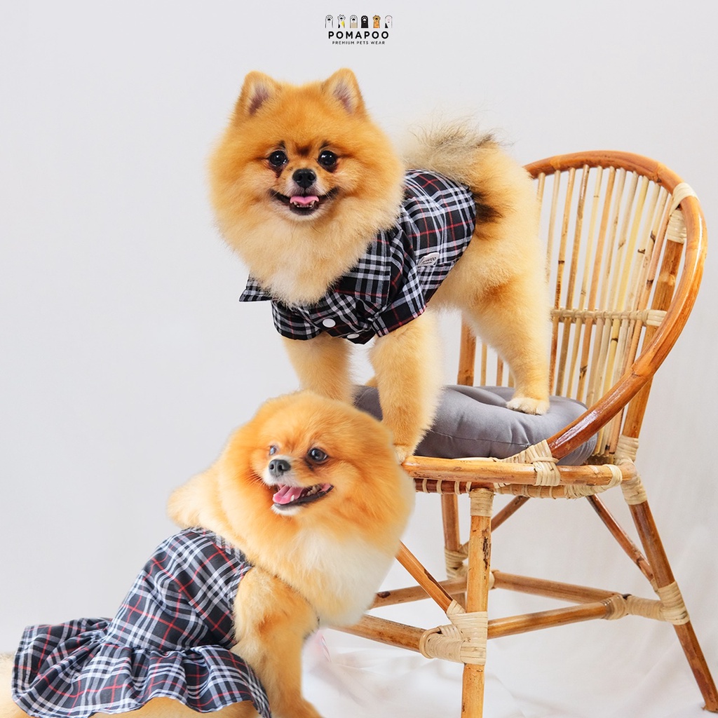 Jual POMAPOO - Baju Kucing dan Baju Anjing Pawberry Set | Shopee Indonesia