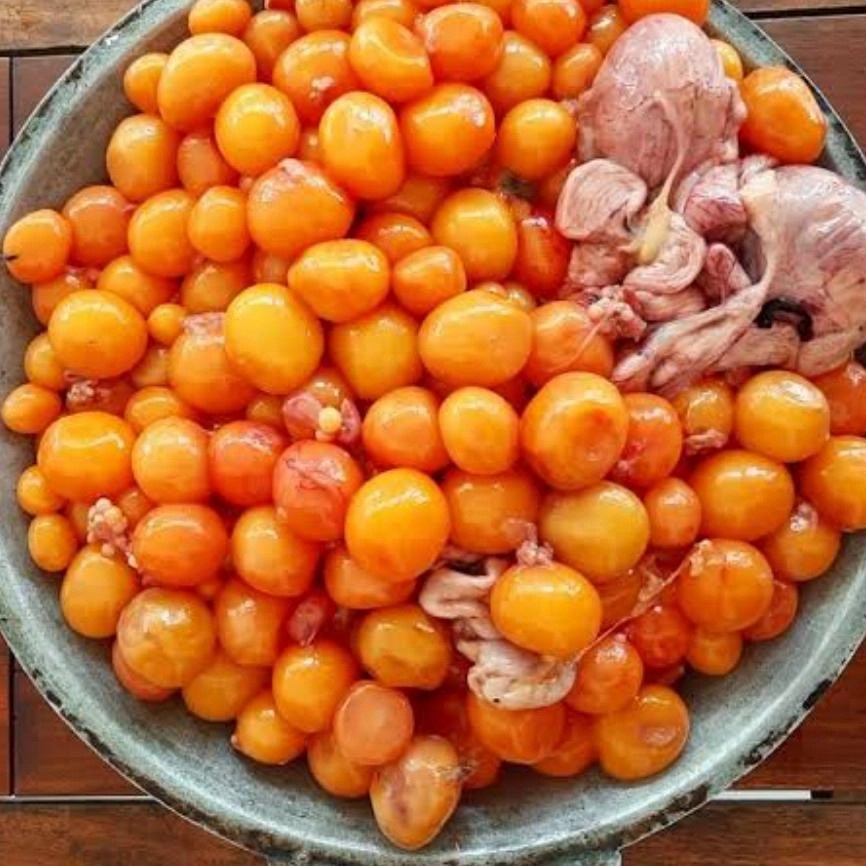 Jual telur muda uritan ayam kampung murah banget | Shopee Indonesia