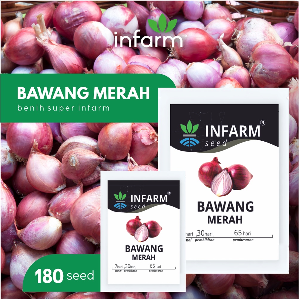 Jual INFARM - Benih Bibit Biji Super Bawang Merah | Shopee Indonesia