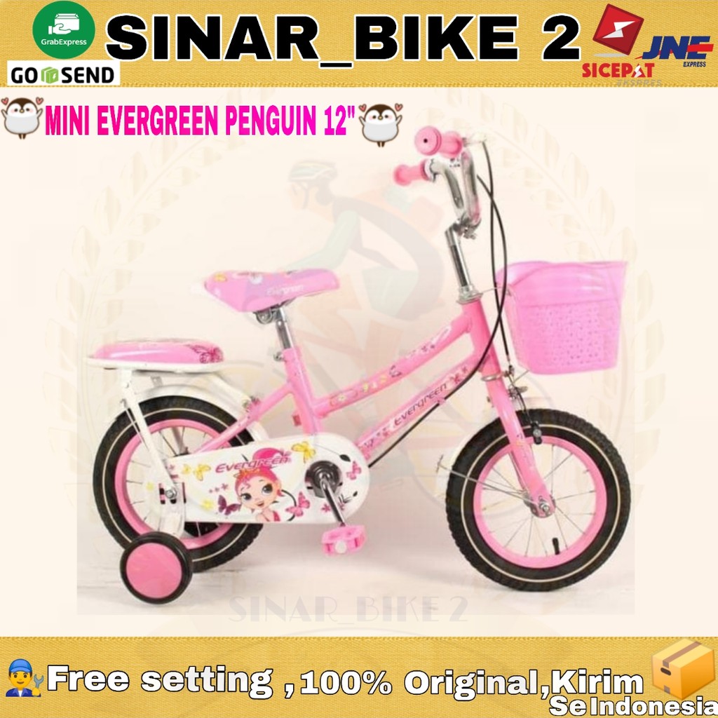 Jual Sepeda Anak Perempuan Mini EVERGREEN Penguin 12 Inch Usia 2-4Th ...