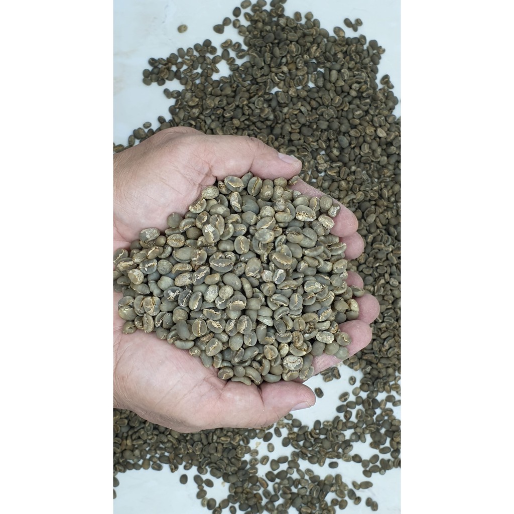 Jual Kopi Arabika Green Bean Mandheling/Mandailing 1kg Grade 1 Mattin ...