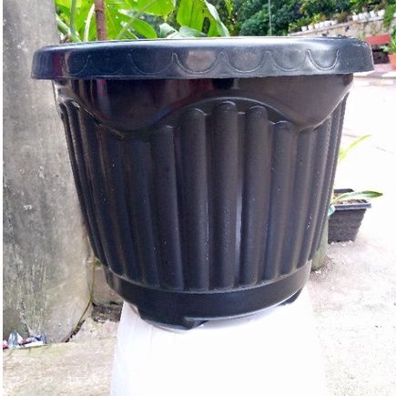 Jual POT BUNGA KUPING 45/POT TANAMAN JUMBO MIO SHALLOM 45 | Shopee ...