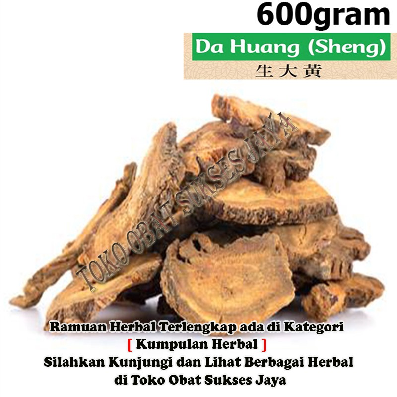 Jual [600gram] Da Huang - [ 大簧 ] - Radix Et Rhizoma Rhei | Shopee Indonesia