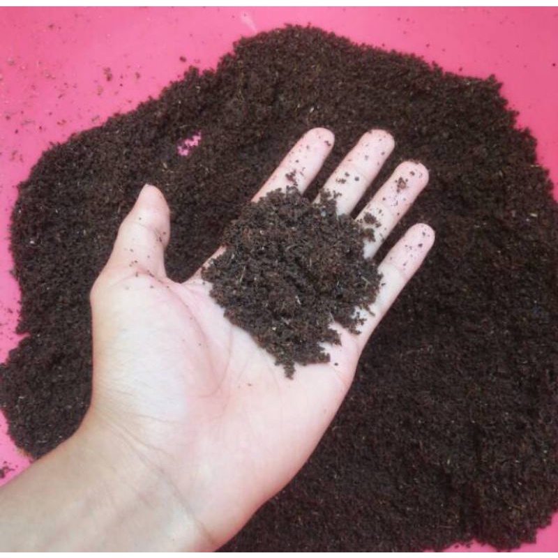 Jual Kasgot BSF Pupuk Organik BSF cocok untuk tanaman hias | Shopee ...