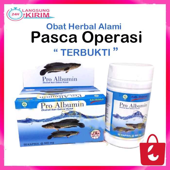 Jual ASLI Pro Album Ekstrak Ikan Gabus Kapsul Albumin Ikan Gabus Obat Herbal Pasca Operasi 50 ...