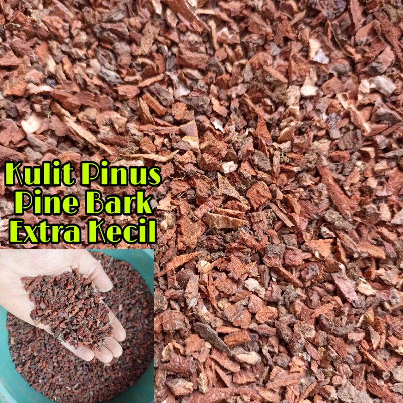 Jual 1Kg Media Tanam Pine Bark/Kulit Pinus Cacah Ekstra Kecil/Super ...