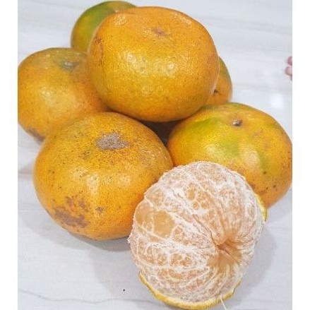 Jual Jeruk medan | Shopee Indonesia