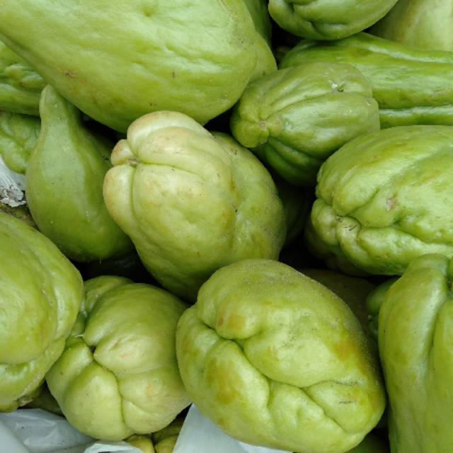 Jual Gondese Labusiam Lejet Chayote sayur segar kg @ | Shopee Indonesia