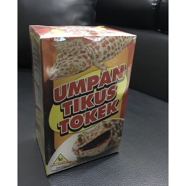 Jual Racun Tokek Cicak Rumah Burung Walet / Umpan Tokek Cicak / Obat ...