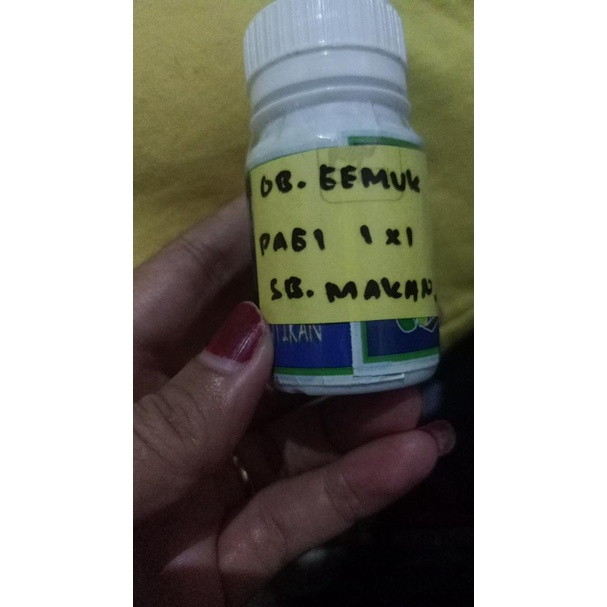 Jual OBAT PEMBENGKAKAN PEMBULUH VENA- VARISES- VARIKOKEL | Shopee Indonesia