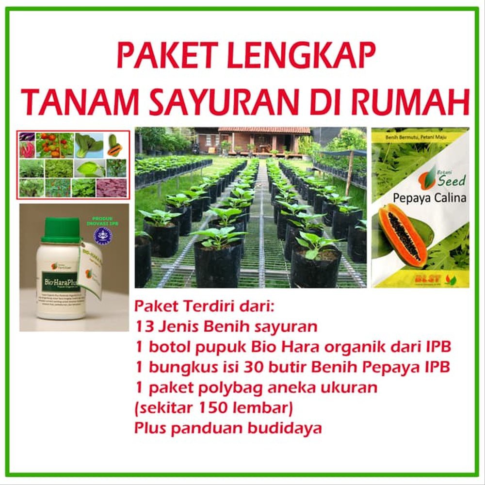 Jual Paket Tanam Sayuran di rumah bibit tanaman sayuran polybag pupuk | Shopee Indonesia
