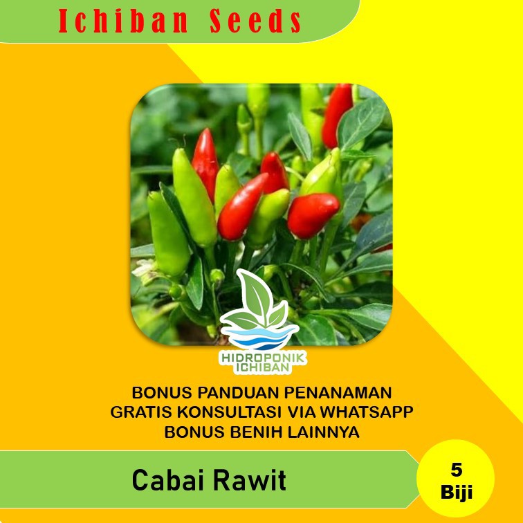 Jual Benih Bibit Biji CABAI CABE RAWIT RAYA HIJAU Kemasan Seribuan ...