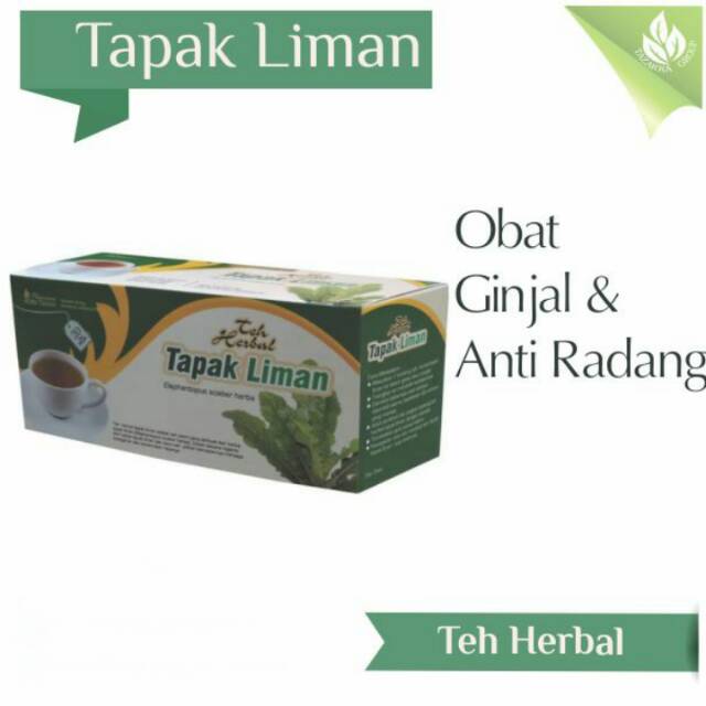 Jual Obat Anti Radang dan Kesehatan Fungsi Hati Teh Herbal Tapak Liman ...