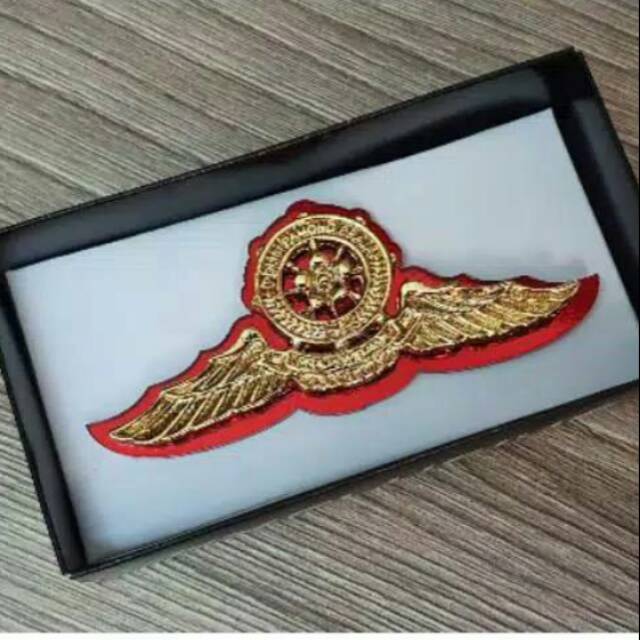 Jual Wing pol pp "bahan coran" (acrelic) | Shopee Indonesia