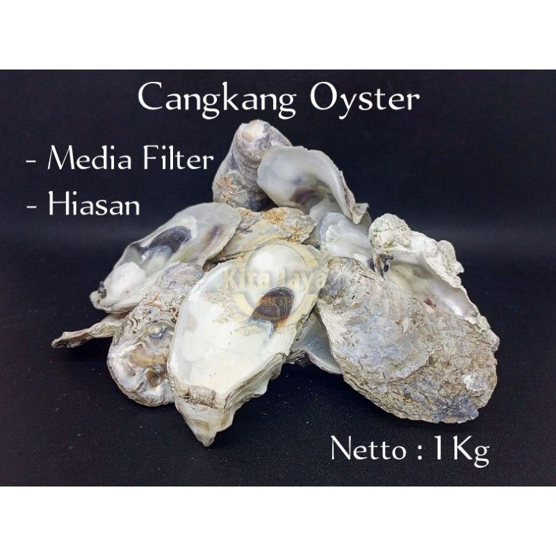 Jual Cangkang Oyster shell 1Kg Kulit kerang tiram Media filter Aquarium ...