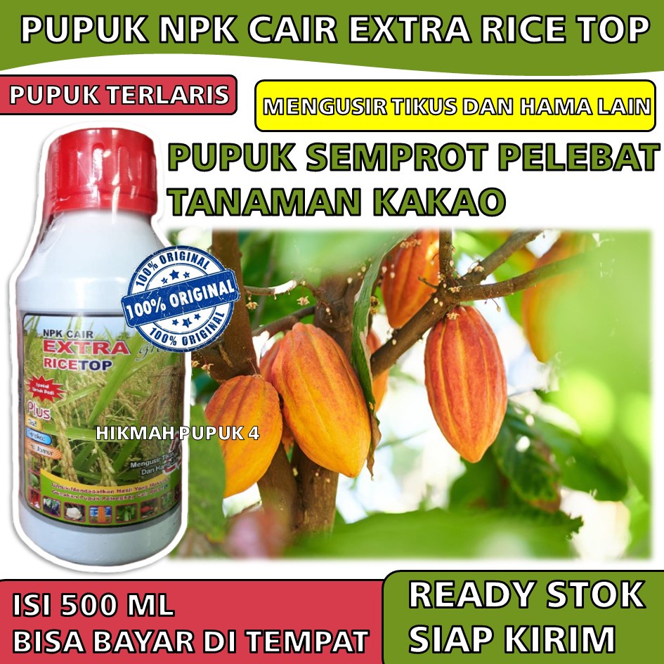 Jual PUPUK NPK CAIR EXTRA RICETOP 500 ML Pupuk Semprot Pelebat Tanaman Kakao - Pupuk Perangsang ...
