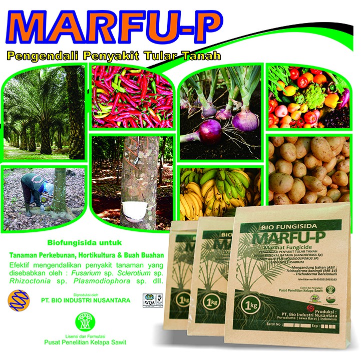 Jual Bio Fungisida Organik tanaman Trichoderma Marfu - P (1 kg ...