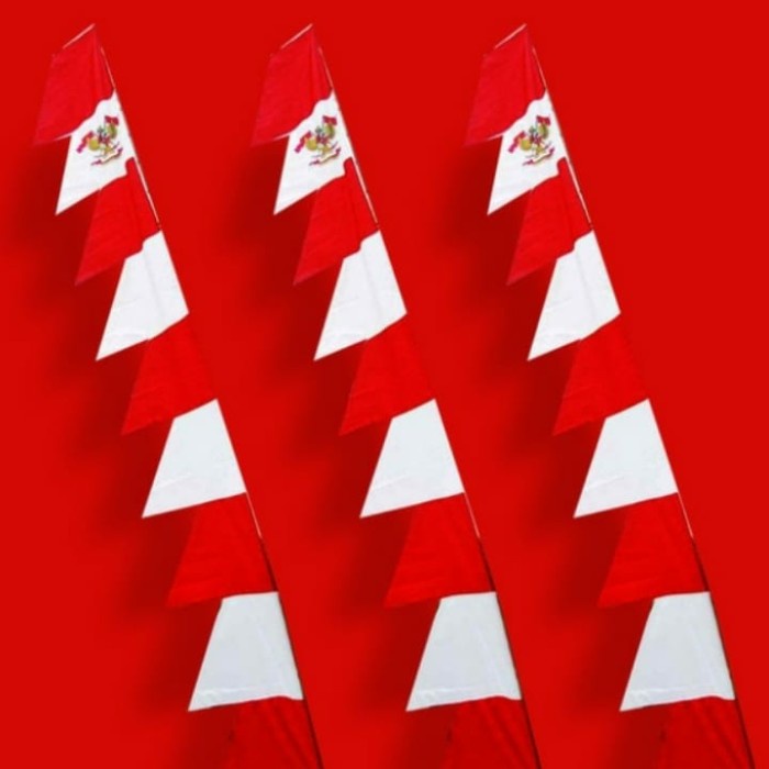 Jual Bendera- Bendera Umbul-Umbul Merah Putih Dan Warna Warni - Gambar ...