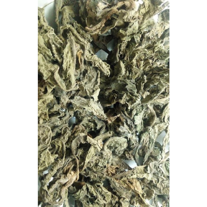 Jual Daun Tapak Liman Kering 500 gram (1/2 kg ) Asli Herbal Alami ...