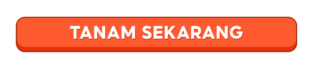Main Shopee Tanam | Shopee Indonesia