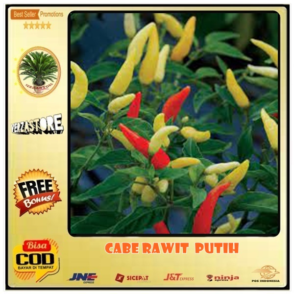 Jual Benih Paket Hemat 5 Macam Cabe Cabai Rawit Merah Hijau Putih ...