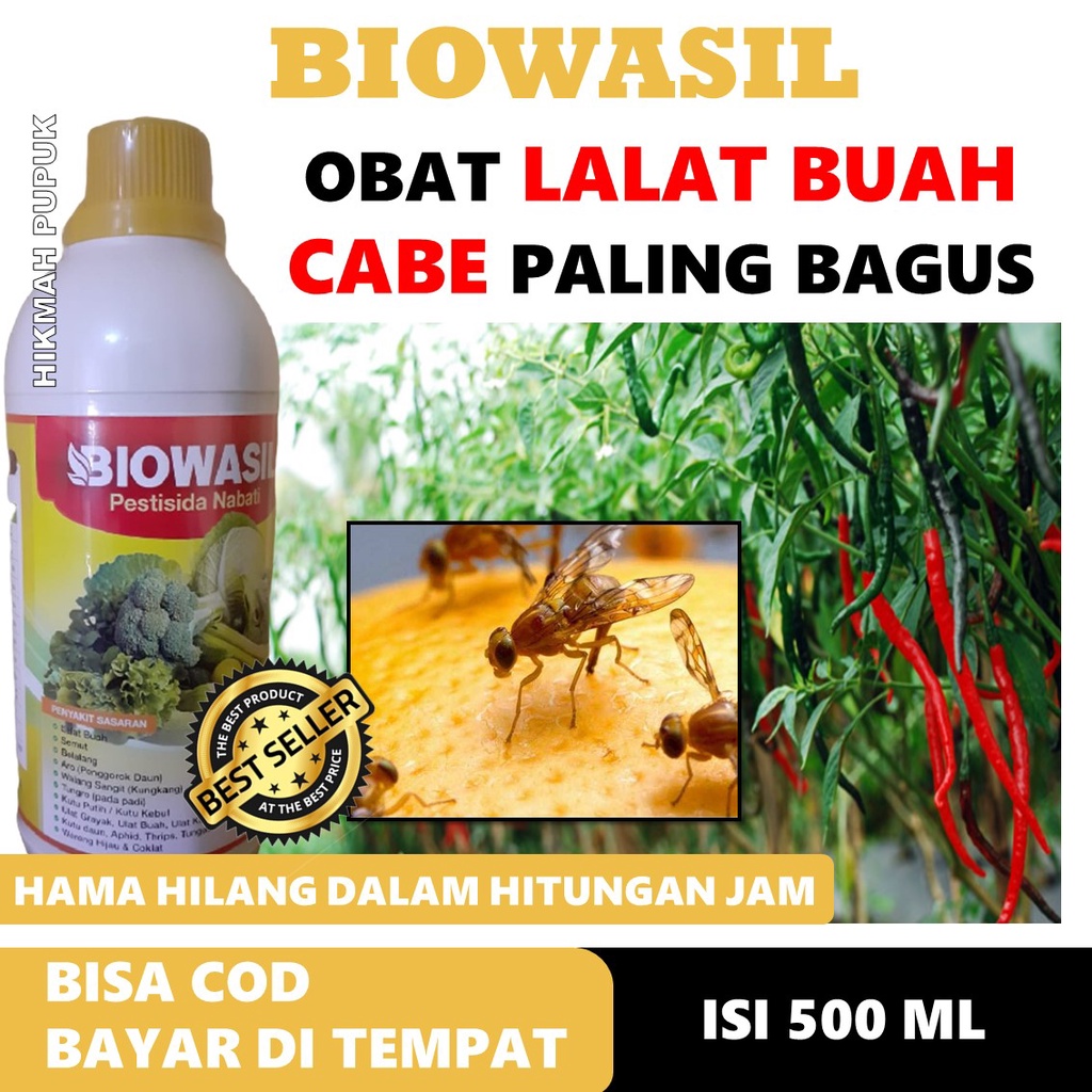 Jual (OBAT LALAT BUAH CABAI) BIOWASIL OBAT LALAT BUAH PADA TANAMAN ...