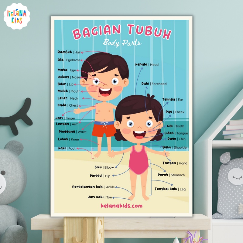 Jual Poster Edukasi A3 Binatang, Laut, Buah, Sayur, Tata Surya, Bagian ...