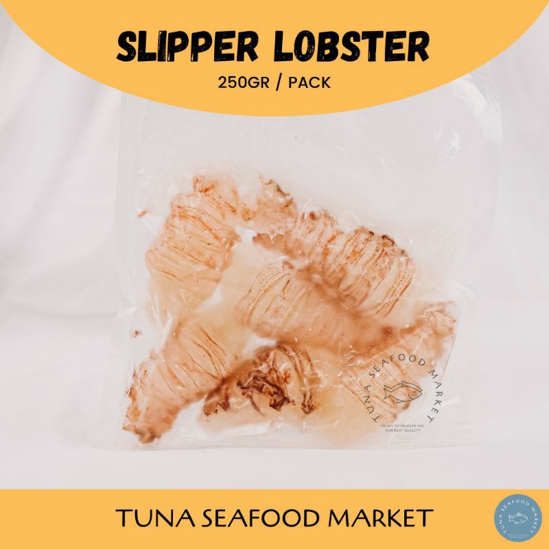Jual Frozen Slipper Lobster Meat 250 gr (Udang Kipas) | Shopee Indonesia