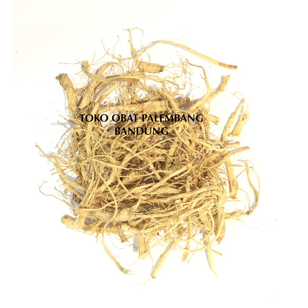 Jual Ginseng Terlengkap & Harga Terbaru Juni 2026 | Shopee Indonesia